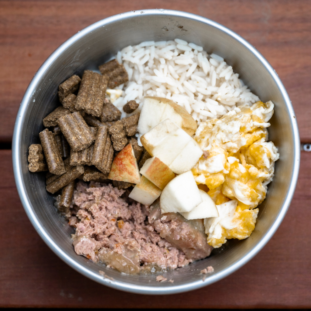 Navigating the World of Cooked Dog Food - Pets Area